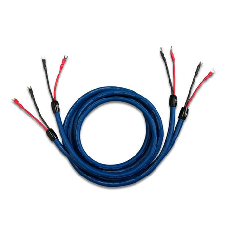 Cardas Audio at Dedicated Audio